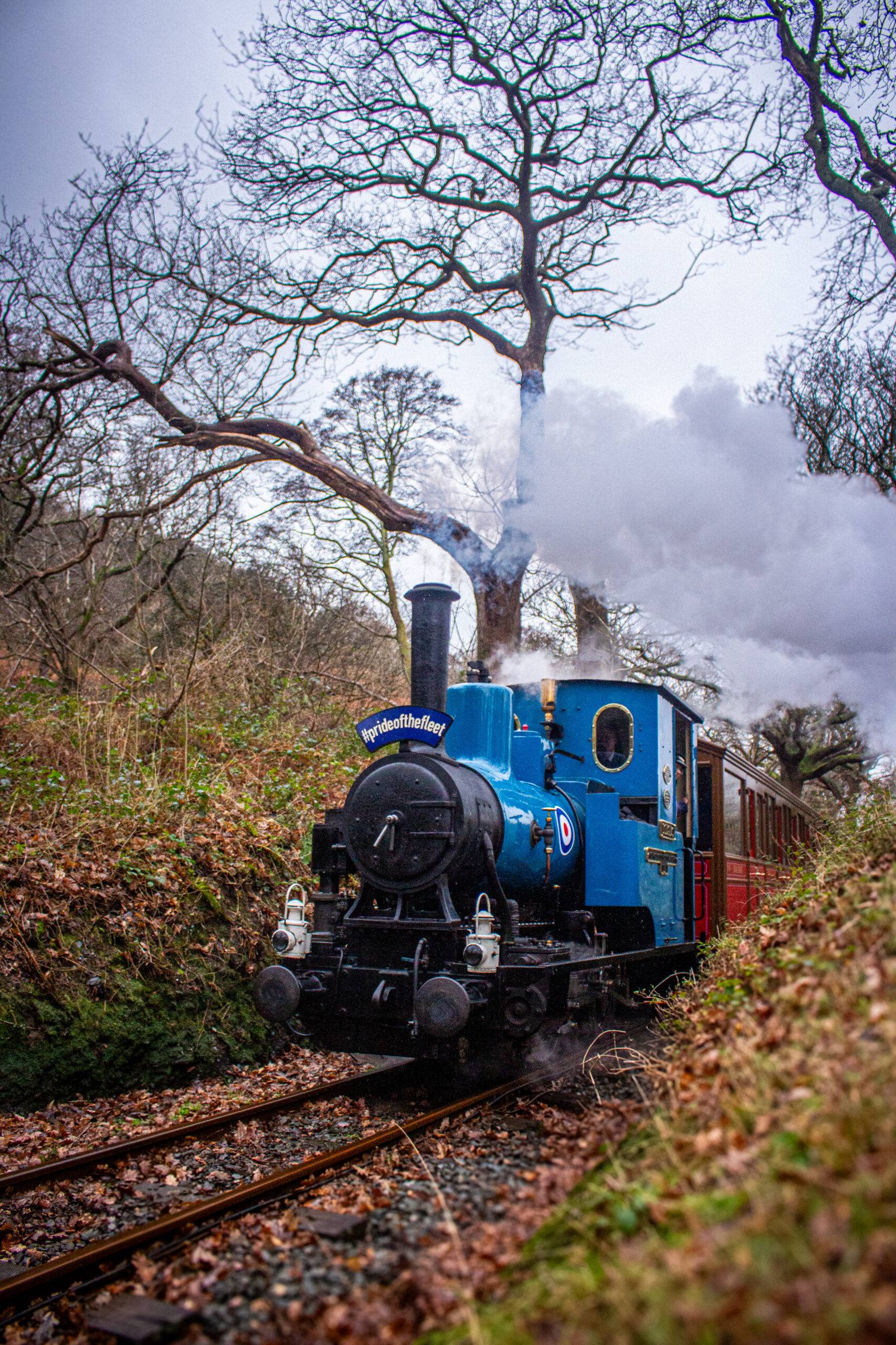 IMG_7890 – Talyllyn Railway